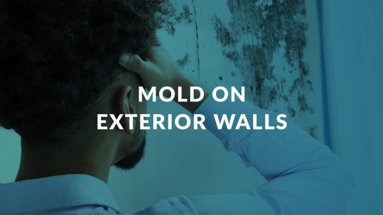 Mold On Exterior Walls | CLEAR Restoration