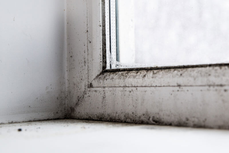 A Guide To Mold On Windowsills | CLEAR Restoration