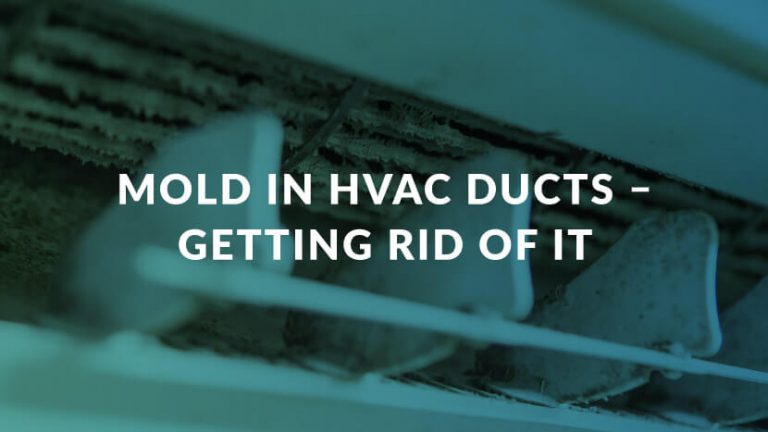 Getting Rid of Mold in HVAC Ducts | How to Prevent & Get Rid of It