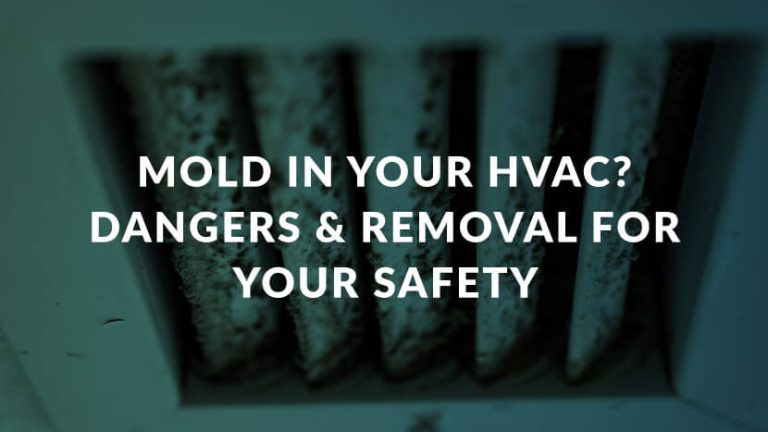 Mold in HVAC & Duct Systems – The Dangers & Removal