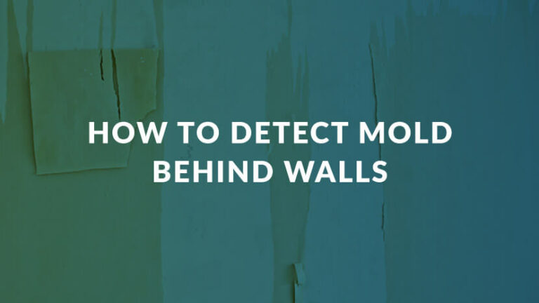 How to Detect Mold Behind Walls | CLEAR Restoration