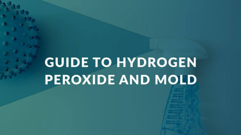Hydrogen Peroxide and Mold | A Comprehensive Guide