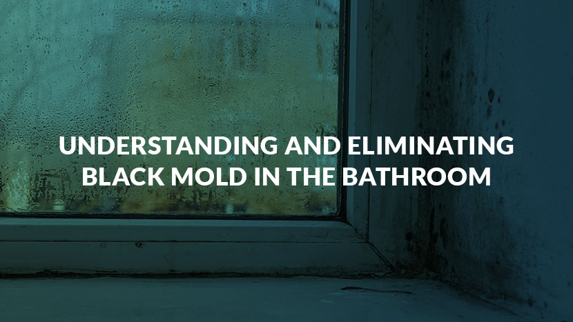 Understanding and Eliminating Black Mold in the Bathroom | Breathe ...