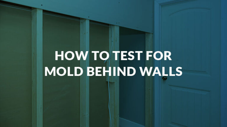 How to Test for Mold Behind Walls | Find Hidden Mold Fast to Protect ...